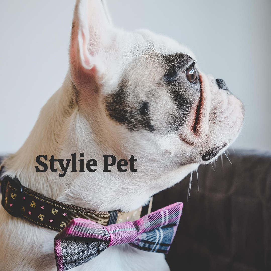 stylie pet , pet fashion – Stylie Pet